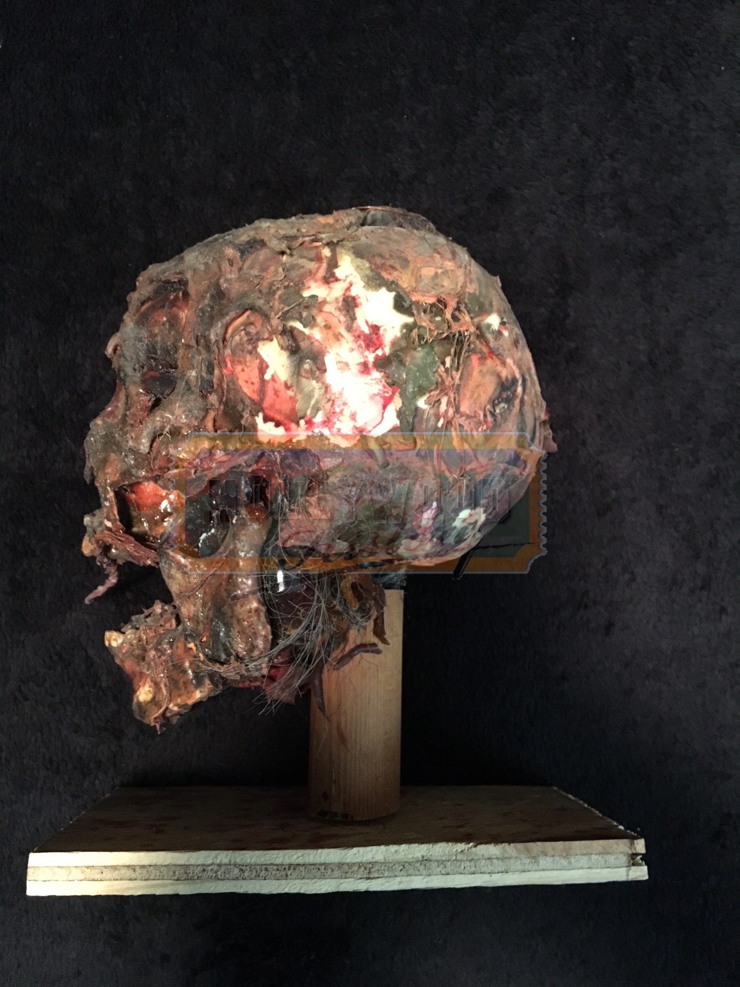 Rotten Head | HHO | Hollywood History Online