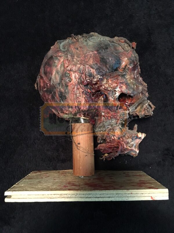 Rotten Head | HHO | Hollywood History Online