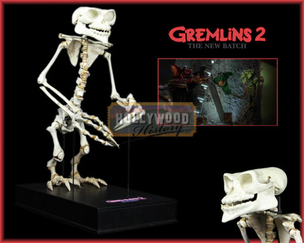 Full-Size Gremlin Skeleton | HHO | Hollywood History Online